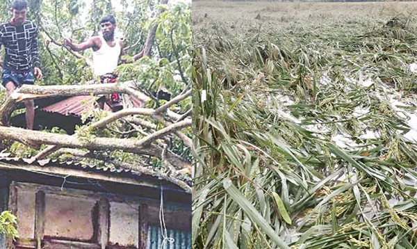 Cyclone Midhili claimed 7 lives across the country
