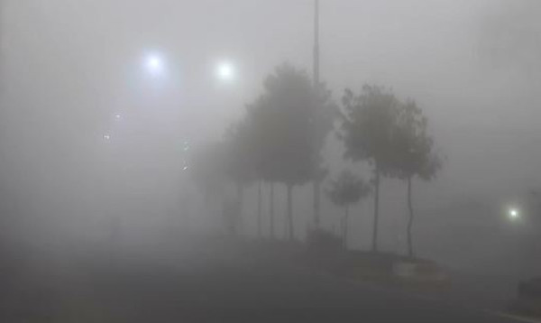 BD-Cold: Mild cold wave sweeps in 3 districts