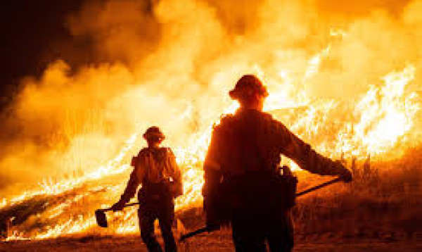 Thousands evacuated as new fast-growing fire ignites Los Angeles