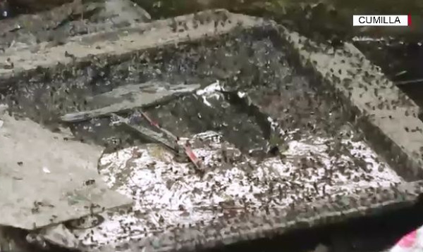 Mosquito infestation increased in Cumilla Mosquito infestation increased in Cumilla